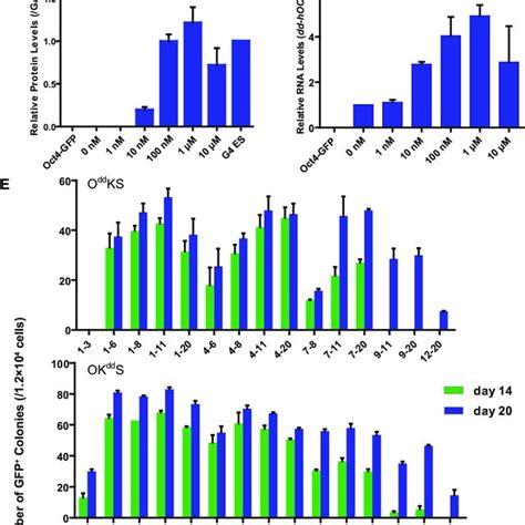 Regulation Of Dna Demethylation Related Factors During Reprogramming