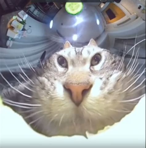 Csc Class Tier List Community Rankings Tiermaker