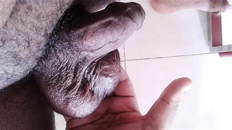 How To Dominate An Anaconda You Can Dominate This Anaconda Here