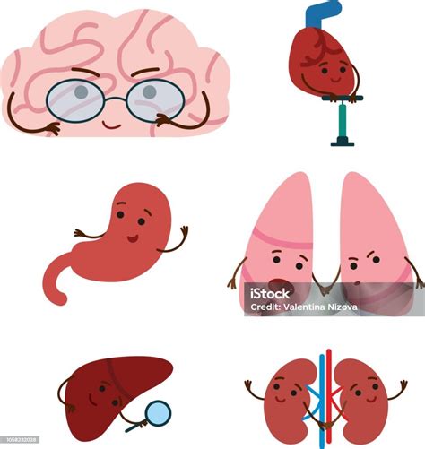귀여운 웃는 행복 한 인간의 건강 한 강한 장기 설정합니다 벡터 만화 캐릭터 일러스트 아이콘 디자인입니다 흰색 배경에 고립 간