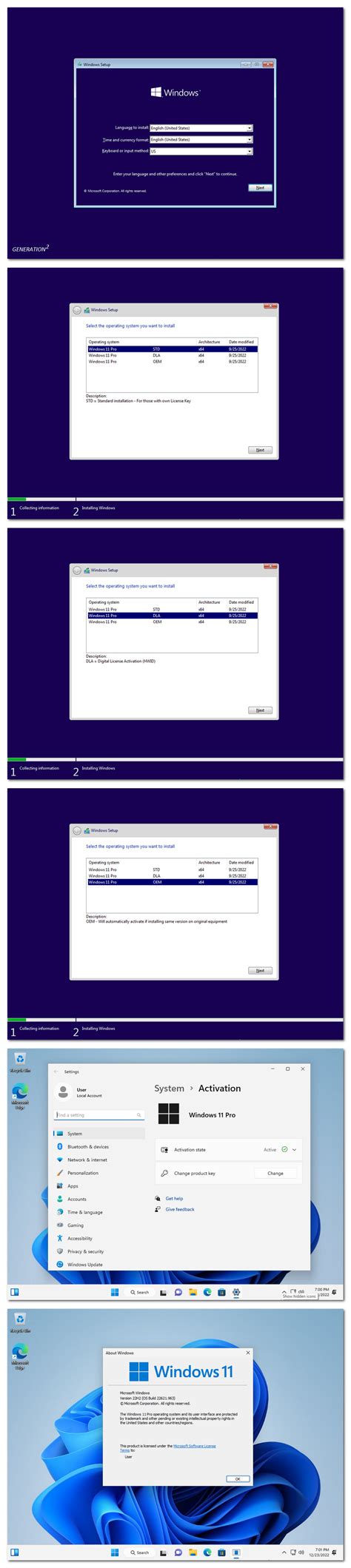 Download Windows H Pro In OEM ESD En US DEC Gen Torrent X