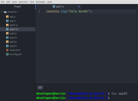 Hola Mundo En Typescript Developer Garcia