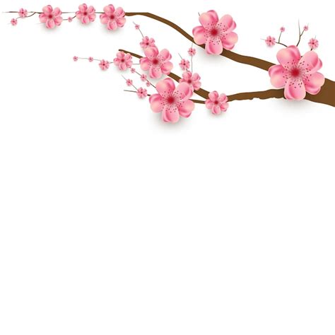 Premium Vector Sakura Flower Border Frame Design Element Vector Art