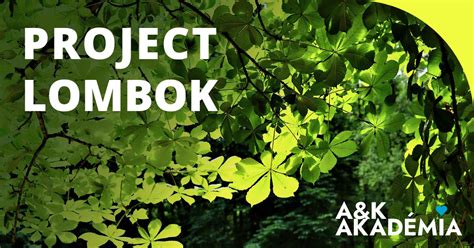 Project Lombok A Java Fekete Mágusa Aandk Akadémia