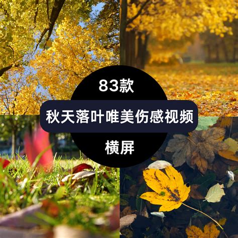 燃虫网 抖音短视频素材资源网 最新副业学习课程 无水印素材资源库 高清4K