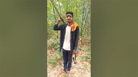 Neta Ji Ghar Chamka Dunga😋funnytrending Shorts Viral Youtubeshorts