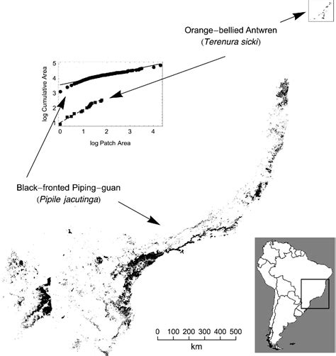 Figure 1 From Quantitative Analysis Of Forest Fragmentation In The Atlantic Forest Reveals More