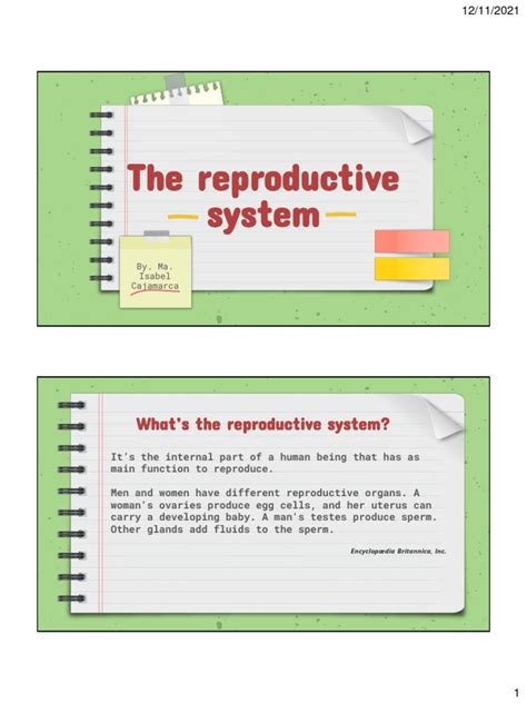 The Repoductive System Pdf Reproductive System Fertilisation