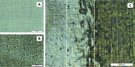 Optical Microscopic Observation Of The Coatings A B72 Coating On Download Scientific Diagram