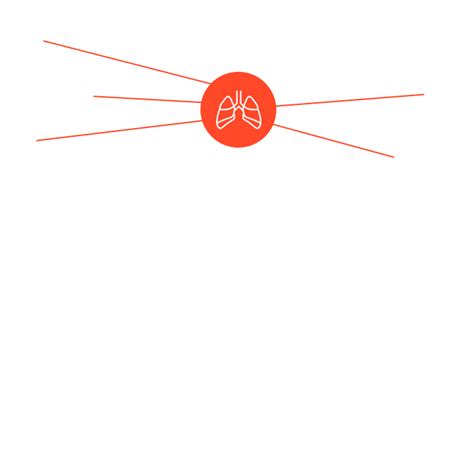 Asbestosis And Mesothelioma Diagnosis Asbestosis Vs Mesothelioma