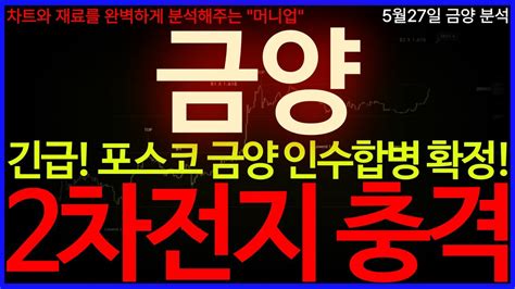🔵 금양 9시 충격속보 포스코 금양 인수합병 확정 공시 본사 긴급발표 2차전지 충격 한국거래소 거래재개 결정 저녁에 갑자기