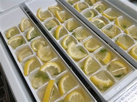 레몬민트얼음모히토맛 얼음 만들기