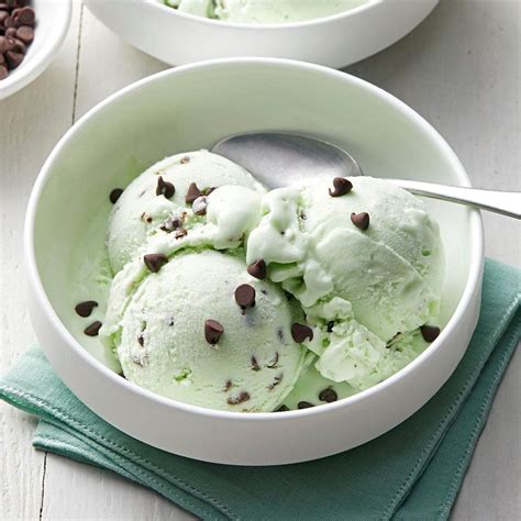 Mint Chocolate Chip Ice Cream Recipe How To Make It