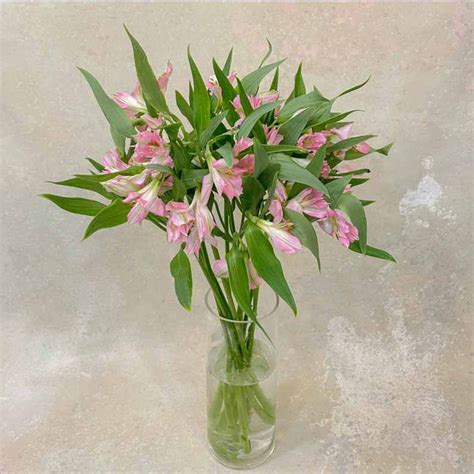 Simple 알스트로메리아 알스한단 생화미니꽃다발 배민 장보기∙쇼핑