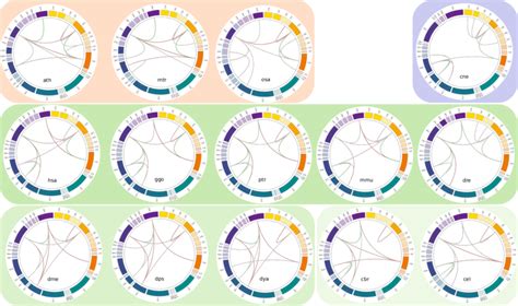 Pairwise Interaction Patterns γ 0 025 Pairwise Interaction Download Scientific Diagram
