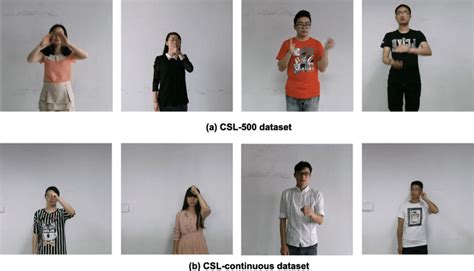 some sample frames of the datasets download scientific diagram