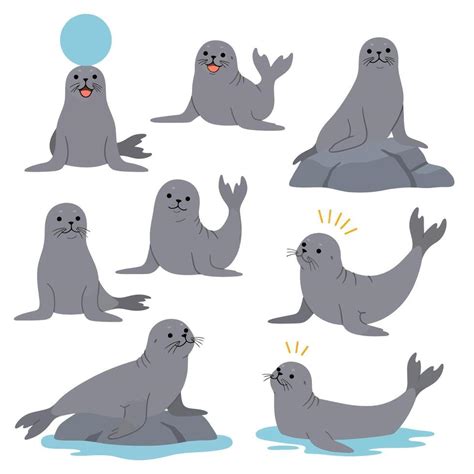 Cute Seals Illustration 62848071 Vector Art At Vecteezy