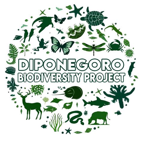 Dbp Metabarcoding Pipeline For Metabarcoding Data Using Nanopore