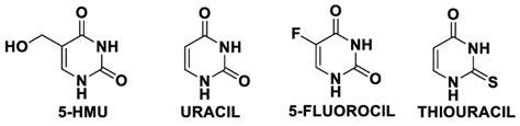 Scheme 1 Uracil And Its Derivatives Download Scientific Diagram