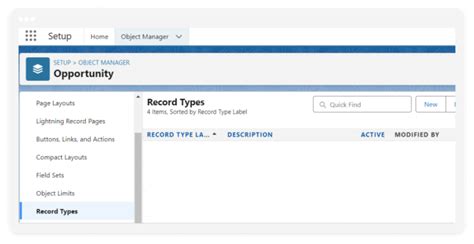 How To Use Record Types In Salesforce 123 Blog