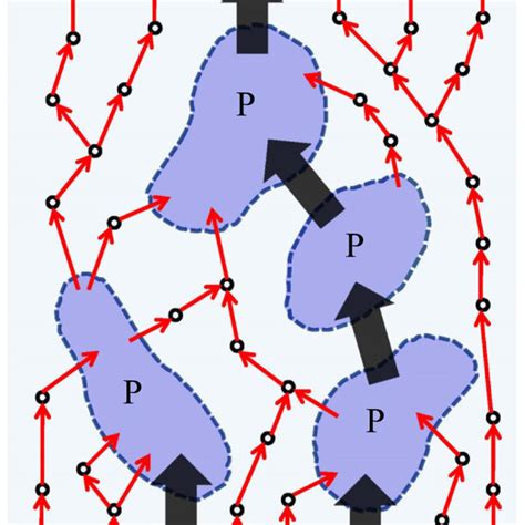 Schematic Diagram Illustrating Different Paths Of Carrier Conduction