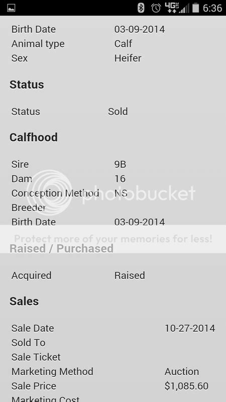 Cattle Tracking Spreadsheets CattleToday Com Cattle Cow Ranching Community