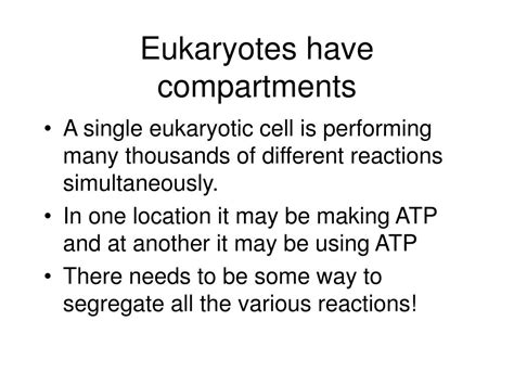 PPT Cellular Compartmentalization PowerPoint Presentation Free Download ID