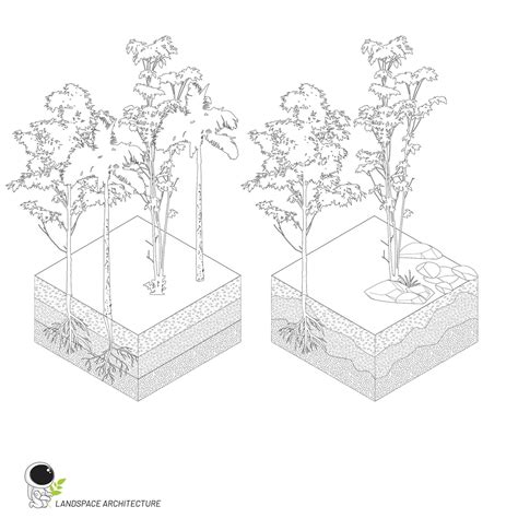 Vector Landscape Illustration Bundle Tree Elevation Vectors