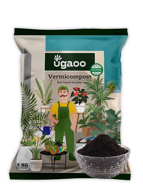 13 Different Types Of Cedar Trees Exploring The Evergreen Charm Of