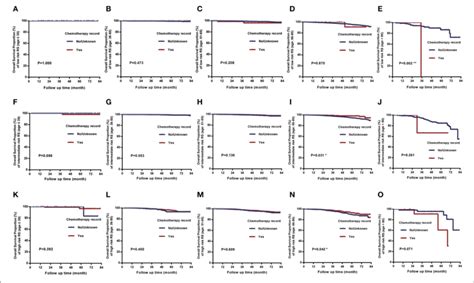 Comparison Of Overall Survival Between Patients Receiving Download Scientific Diagram