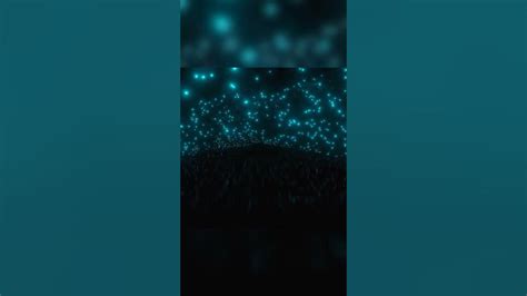 ციცინათელების ჯადოსნური სამყარო Youtube