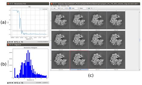 Cryo Em And Single Particle Analysis With Scipion