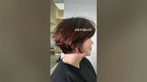 보브컷트사모님머리일산미용실동안머리대통령보브컷숏컷 Youtube