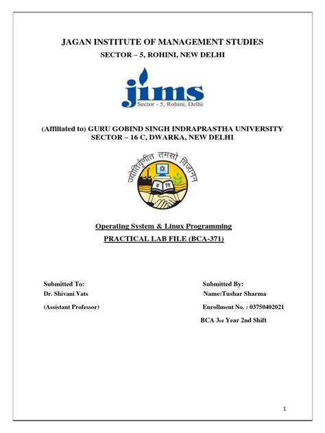 os lab practical file tushar pdf software engineering computer
