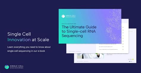 Single Cell Sequencing The Ultimate Guide Single Cell Discoveries