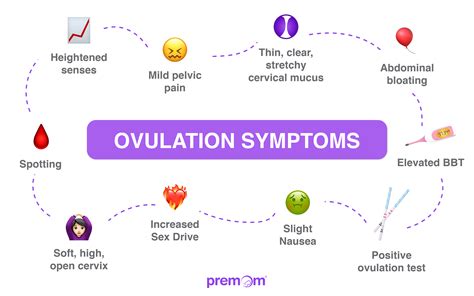 Can I Tell Im Ovulating Based On My Bodys Symptoms Premom India