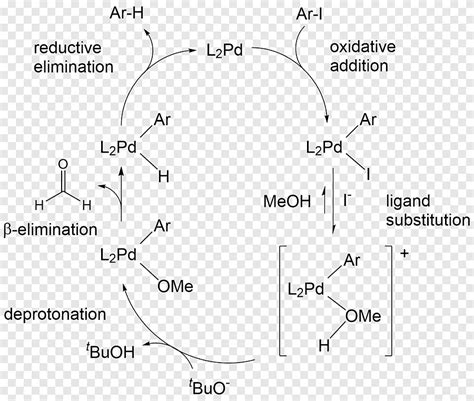 Aryl Halide Chemical Bond Dehalogenation Angle Text Png Pngegg