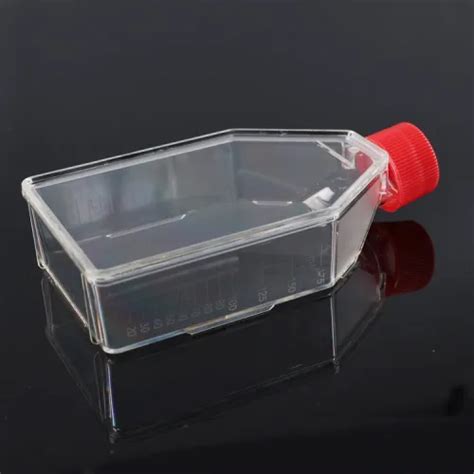 Cell Culture Flask T 25 Surface High Quality Cell Culture Flask T 25 Surface On