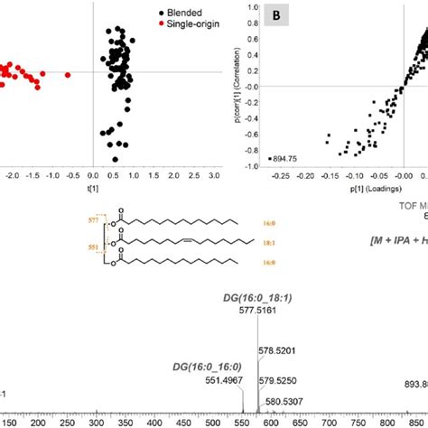 Score Plot A And S Plot B Of Opls Da Model For Discrimination Of Download Scientific