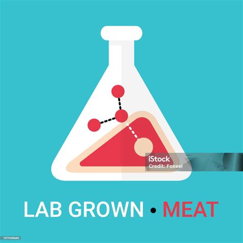 실험실 성장 고기 아이콘 개념 인공 합성 육류는 화학 실험실 유리 제품에서 배양되고 재배됩니다 과학에 기초한 현대영양과 성우 벡터 일러스트 로고타입 엘리먼트 격리 고기에