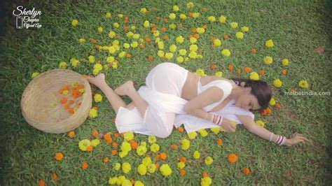 Sapnon Ki Rani Poonam Pandey Sherlyn Chopra Porn Videos