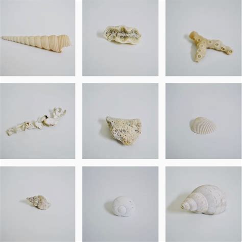 Candy Cabrera Photography