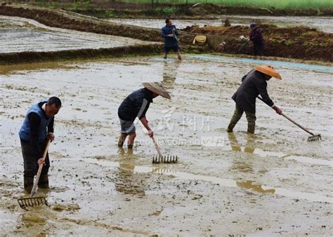 湖南宁远：田间农耕忙 人民图片网