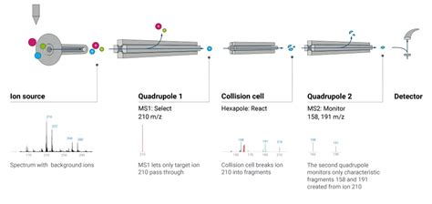 Lcms Frequently Asked Questions Agilent