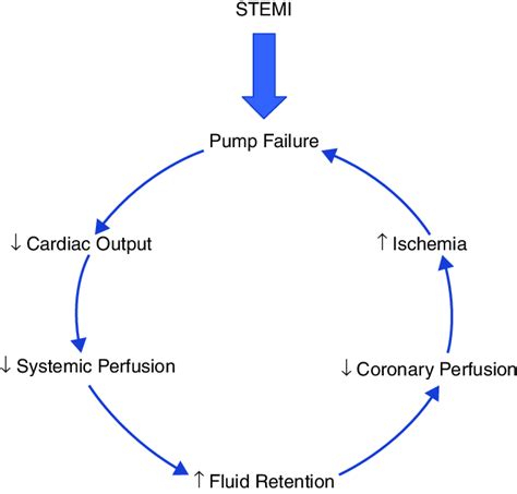 1 Downward Spiral In Cardiogenic Shock Complicating Myocardial Download Scientific Diagram