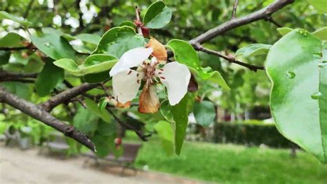 Poco F Review Phonearena