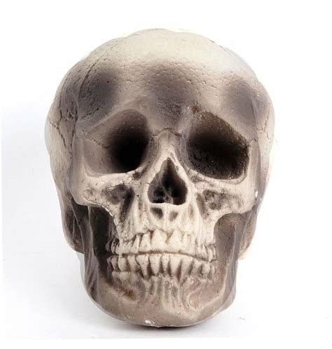 할로윈 공포파티 해골모형 스티로폼 할로윈파티소품 Wd0169c 티몬