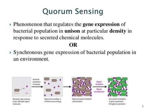 Quorum Sensing 2016