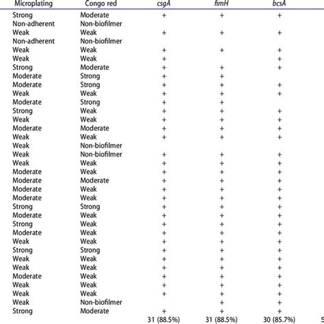 Genotypic And Phenotypic Biofilm Forming Capacity Of Stec Strains Download Scientific Diagram