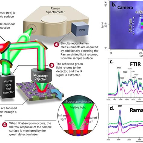 Leaching Of Additives From Polyurethane Microplastics Under Different Download Scientific